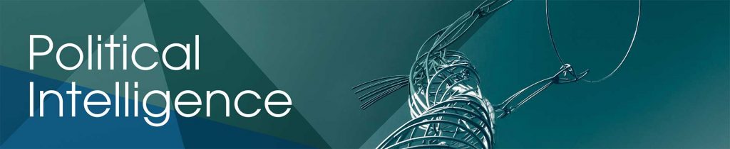 Political Monitoring NI, Political affairs Belfast | Chambre PA